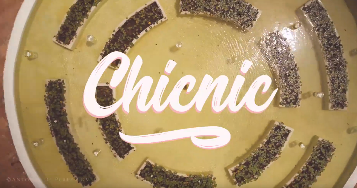 Chicnic | Talk Radio Europe